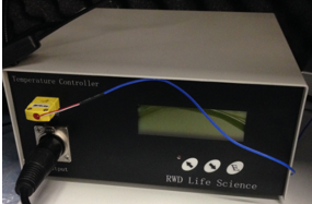 ABR Recording Procedure | HK Auditory Neuroscience